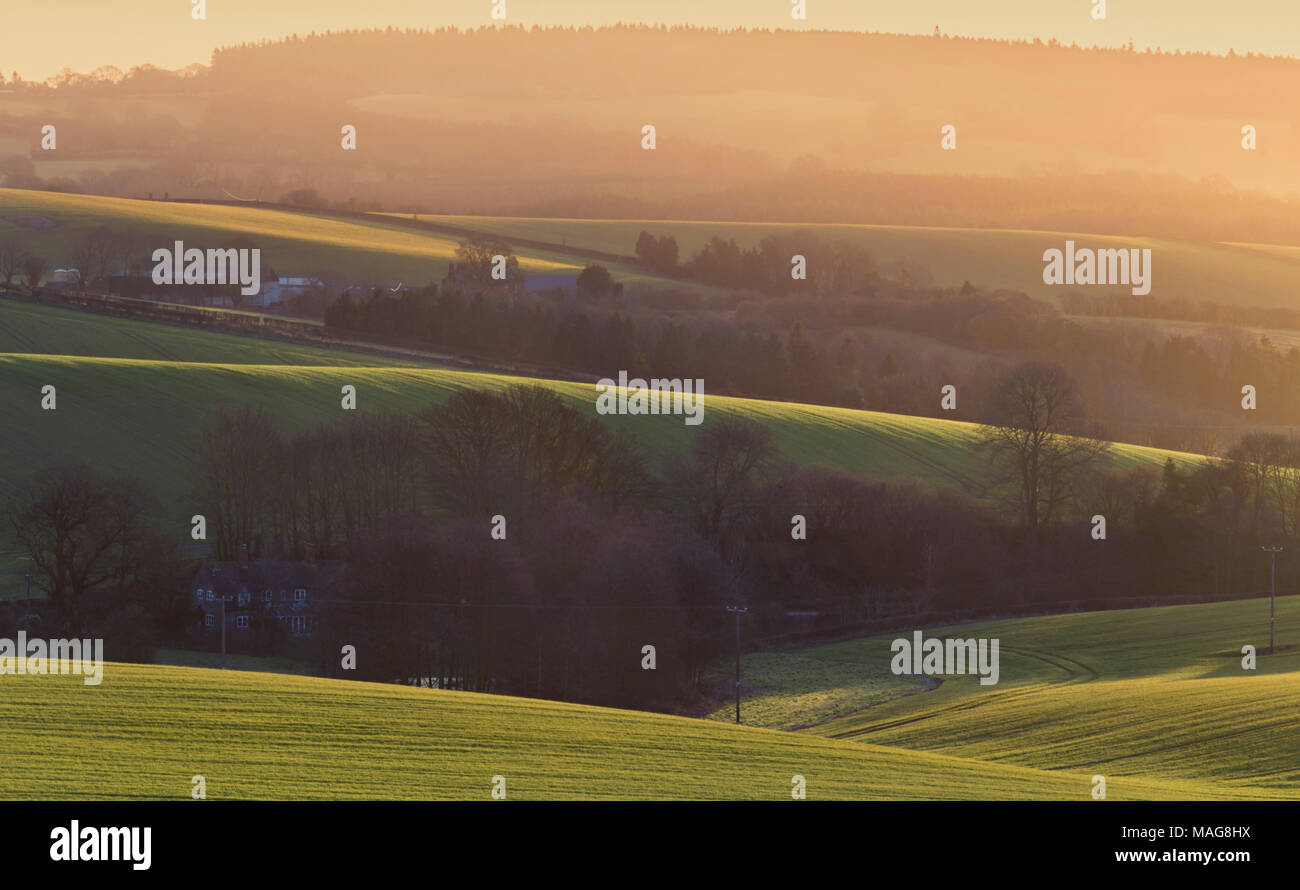 British farming fields in sunrise light at spring in Much Wenlock ...