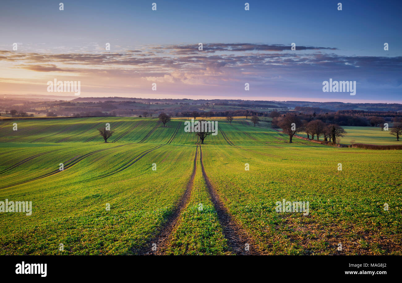 British farming fields in sunrise light at spring in Much Wenlock ...