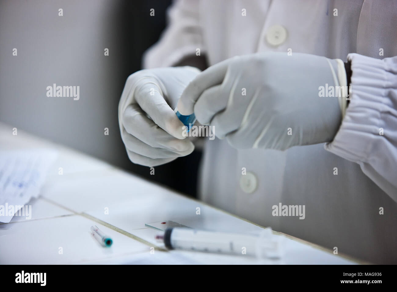 Hands of doctor holding blood test plates Stock Photo - Alamy