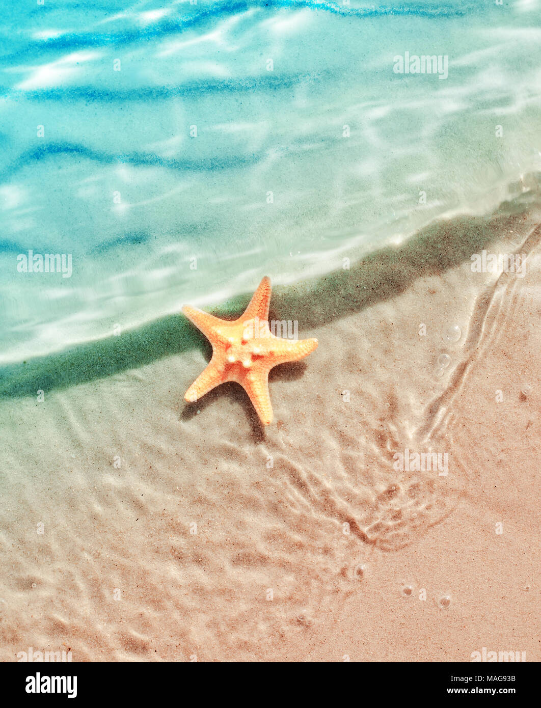 Starfish on the summer beach in sea water. Summer background. Summer ...