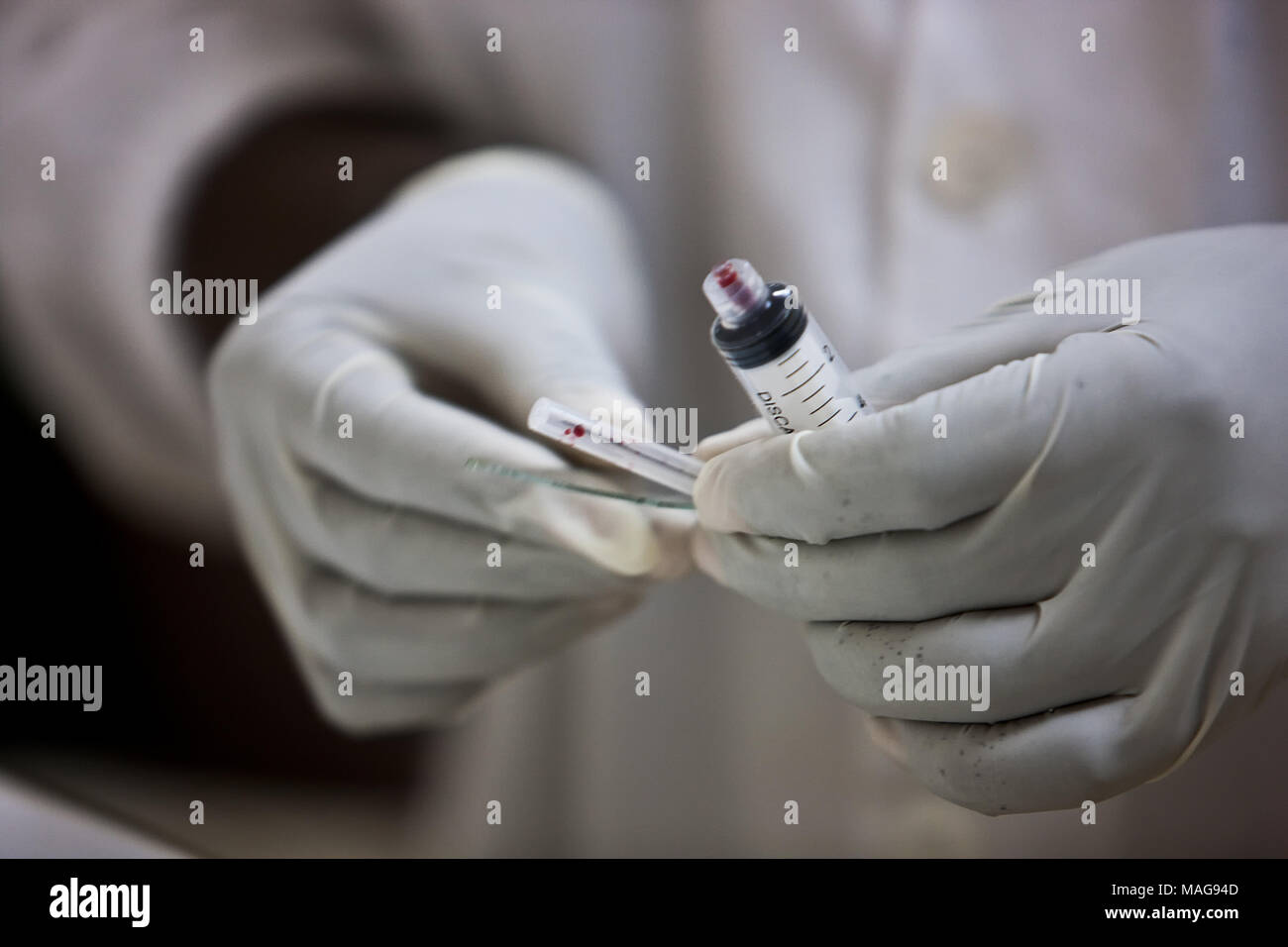 Hands of doctor holding blood test plates Stock Photo - Alamy