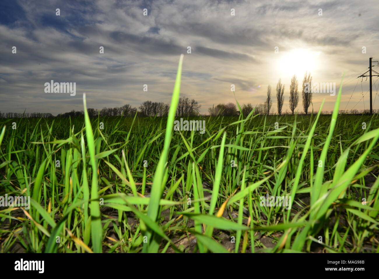 Agriculture spring season, Ukraine Stock Photo - Alamy