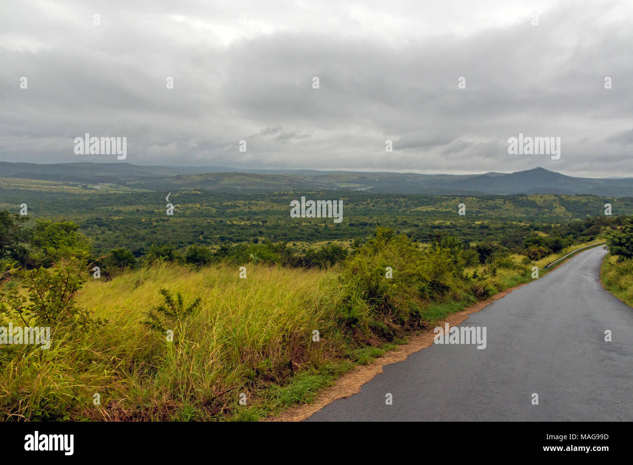Curved asphalt road leading through wet rainy rural landscape with ...