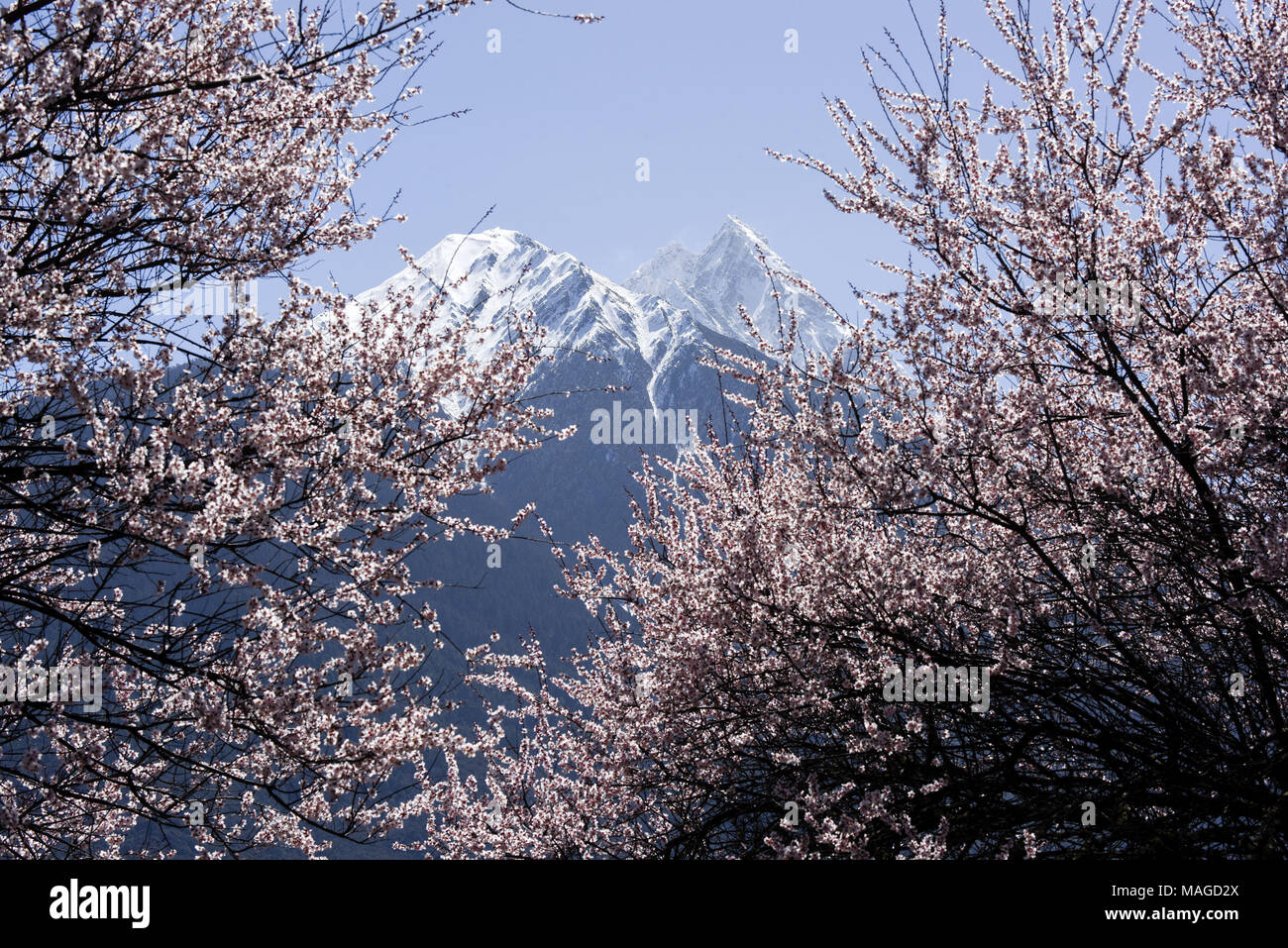 The tangula mountains hi-res stock photography and images - Alamy