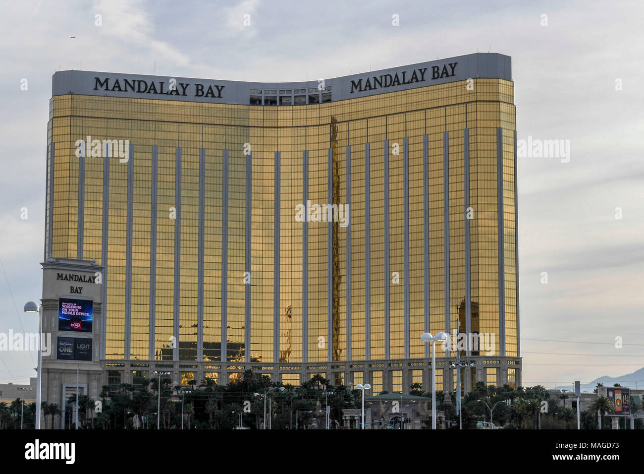 Las Vegas, NV, USA. 1st Apr, 2018. Vigil atmosphere Sunday's vigil to ...