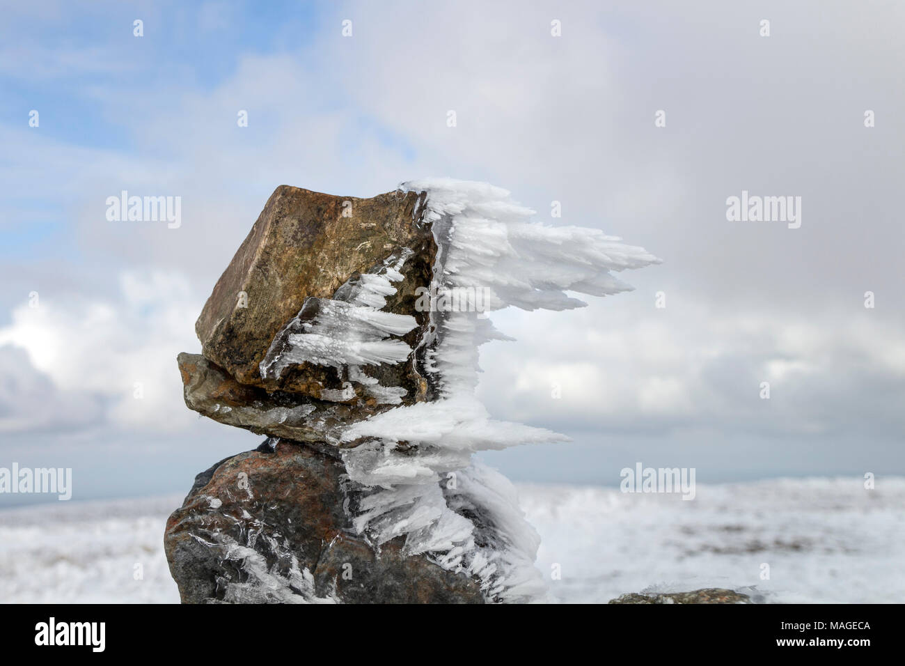 Frost feathers weather hi-res stock photography and images - Alamy