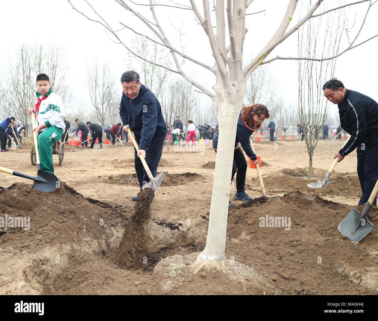 Tree planting china hi-res stock photography and images - Alamy
