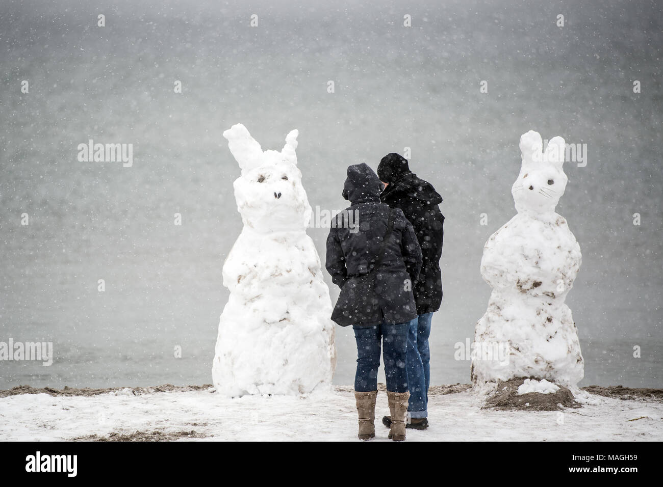 01 April 2018, Germany, Burgtiefe auf Fehmarn: "Easterbunny-Snowmen ...