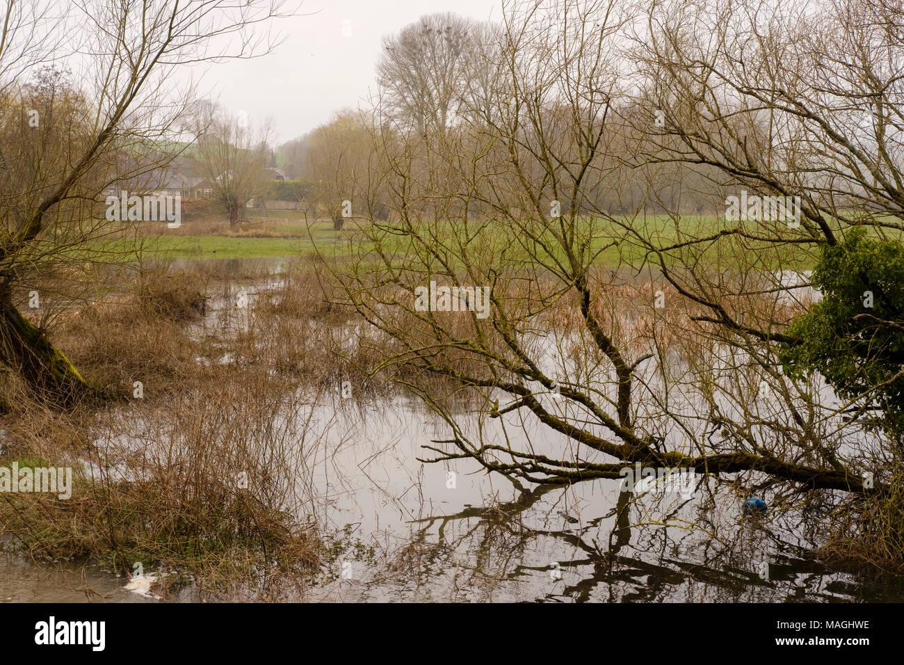 Nadder hi-res stock photography and images - Alamy