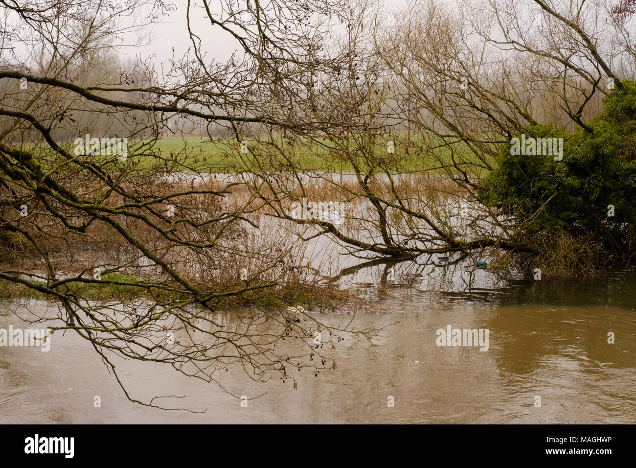 Salisbury floods hi-res stock photography and images - Alamy