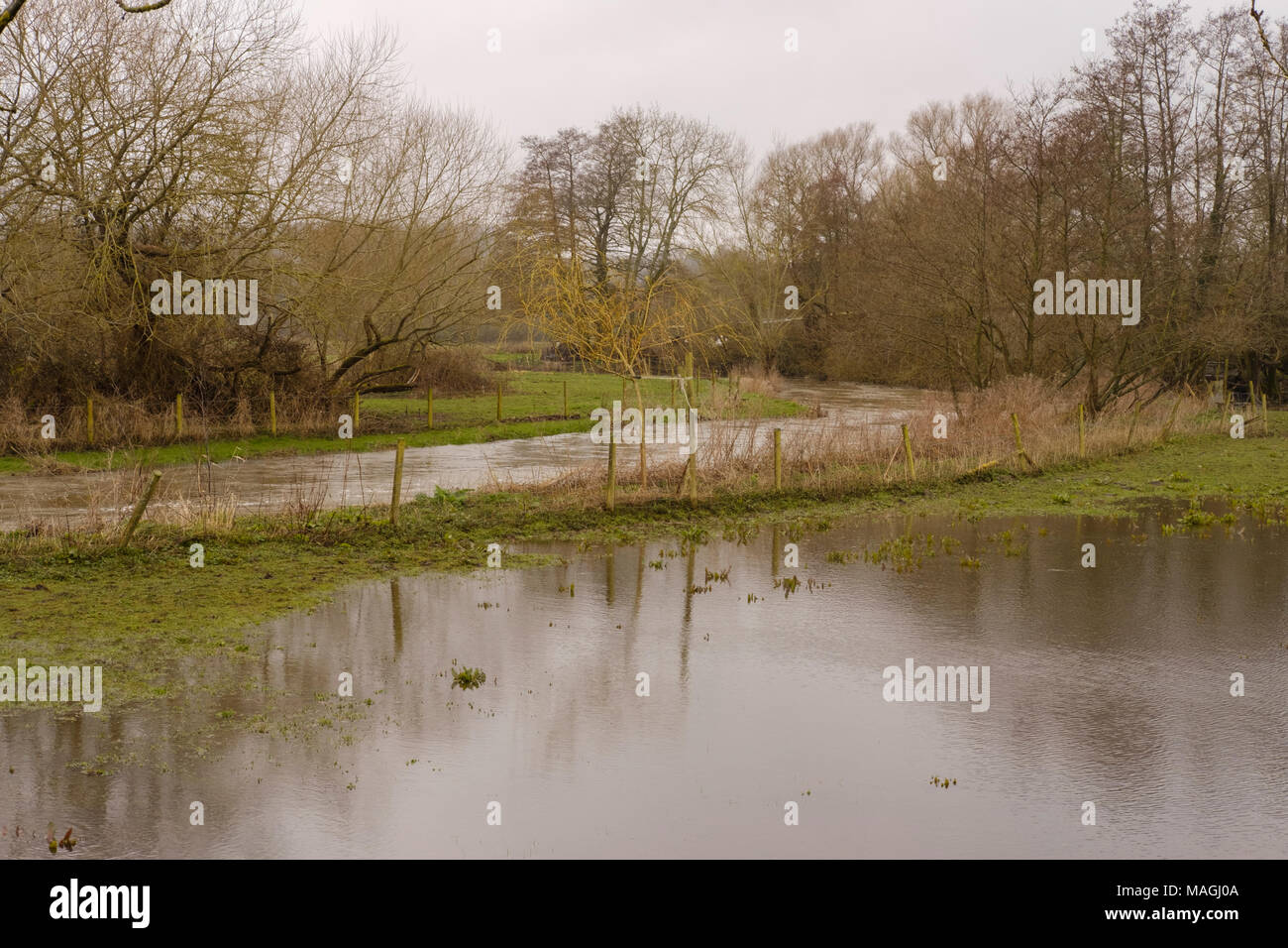 Nadder hi-res stock photography and images - Alamy