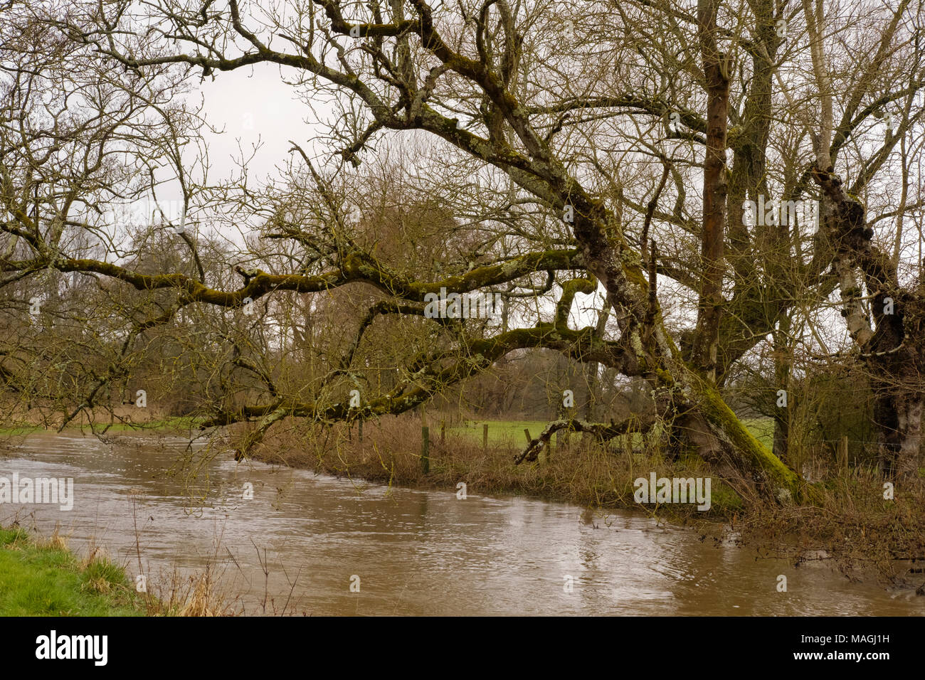 Wilton flooding hi-res stock photography and images - Alamy