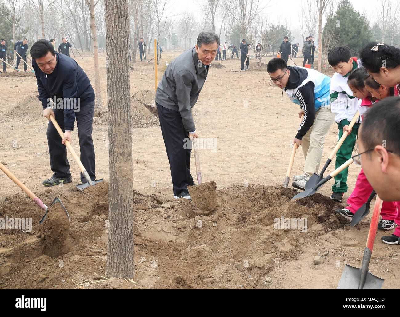 The national leaders tree hi-res stock photography and images - Alamy