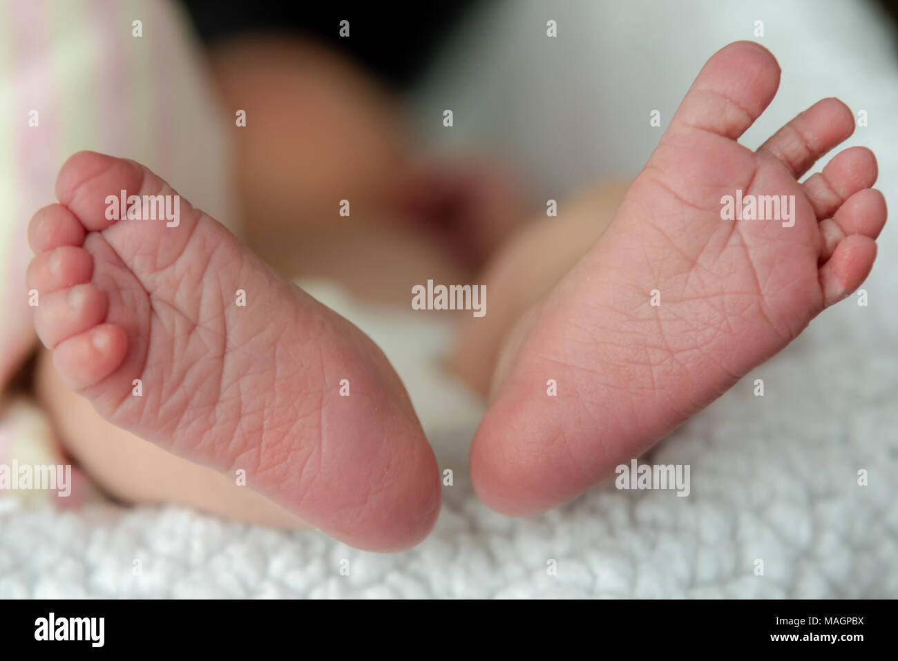 Close up view of a newborn baby's feet Stock Photo - Alamy