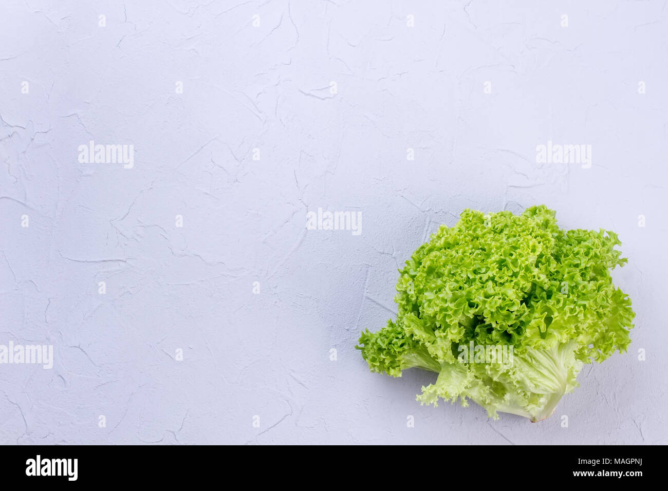 Salad leaf lettuce and copy space. Studio shot of green lettuce salad ...