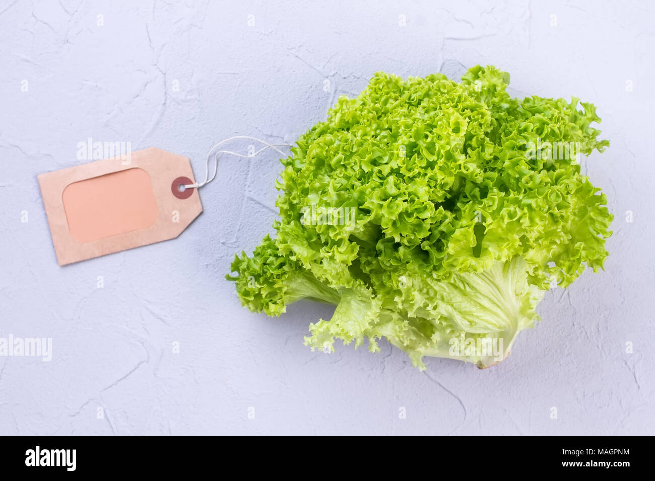 Green lettuce and paper label. Fresh green lettuce salad and blank ...