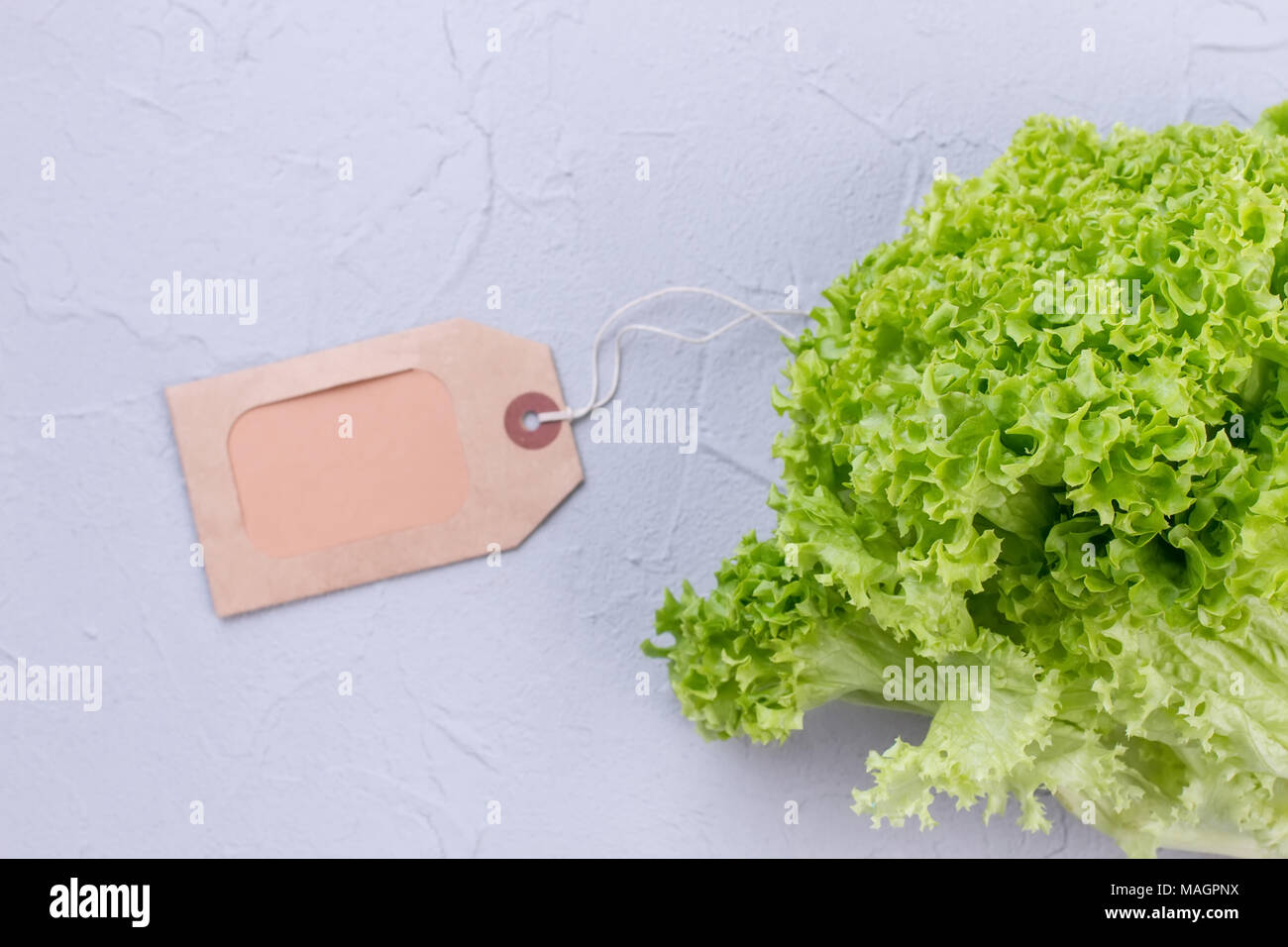 Salad leaf lettuce and paper label. Food nutrition and freshness. Price ...