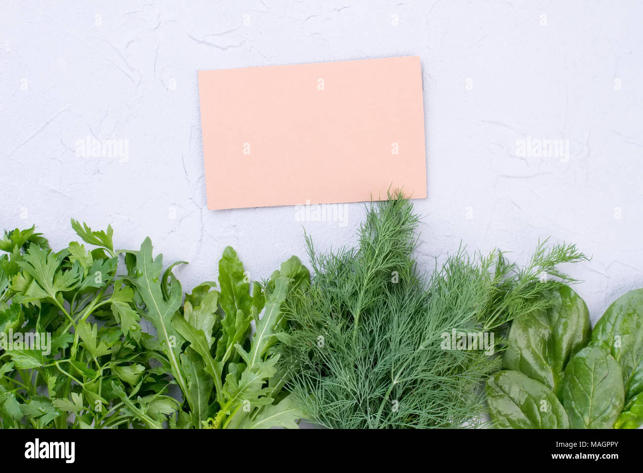 Fresh herbs and blank card. Parsley, arugula, dill and spinach on light ...