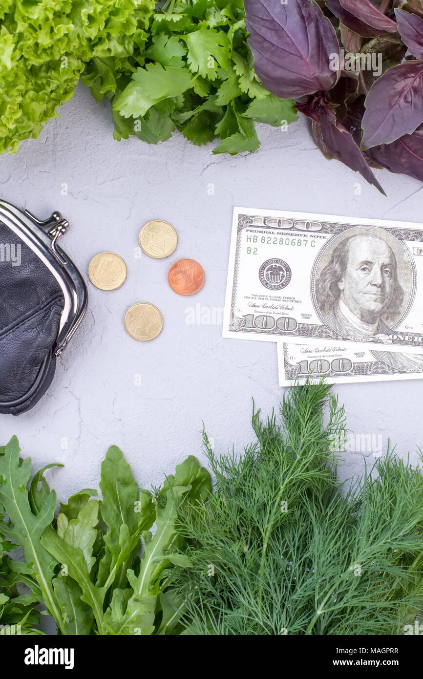 Frame from fresh herbs and vegetables. Fresh organic food and money ...