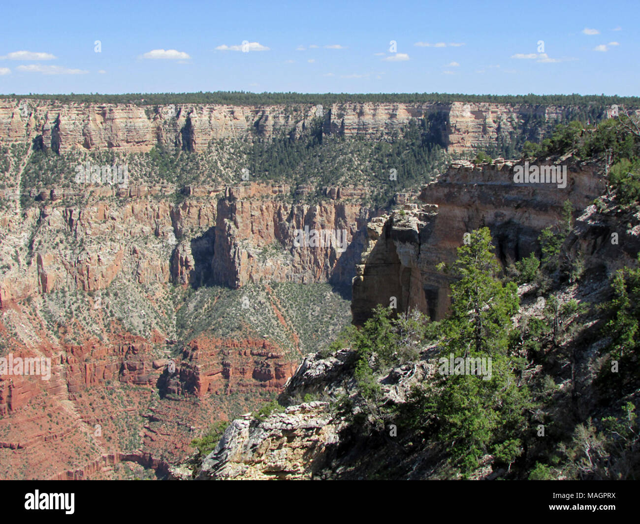 Grand Canyon NP in AZ Stock Photo - Alamy