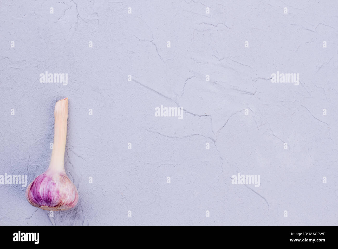 Fresh garlic on light textured background. One young purple garlic and ...