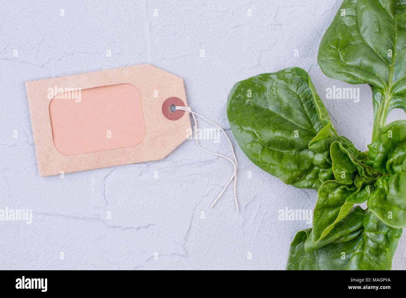 Fresh basil leaves and cardboard tag. Close up fresh green basil herb ...