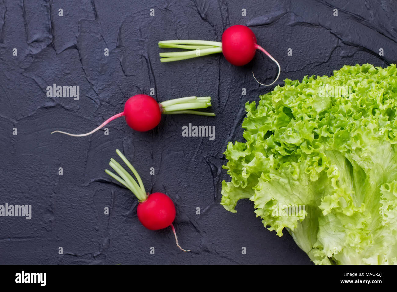 Lettuce, radishes and copy space. Fresh green lettuce and three red ...