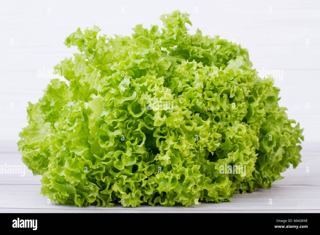 Fresh green curly lettuce salad. Close up organic lettuce isolated on ...