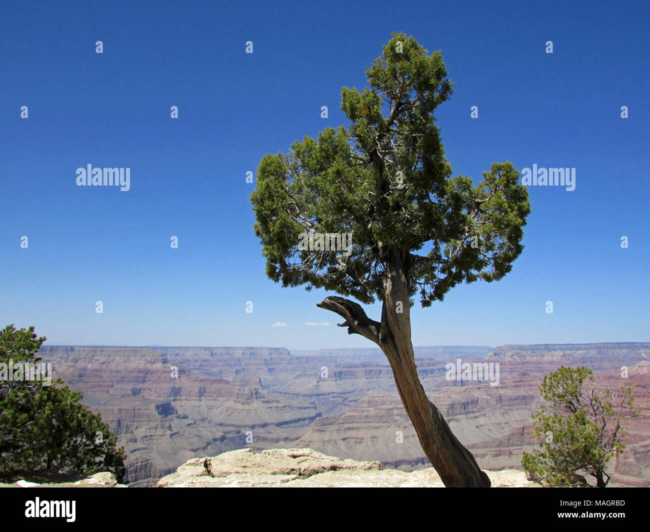 Grand Canyon NP in AZ Stock Photo - Alamy