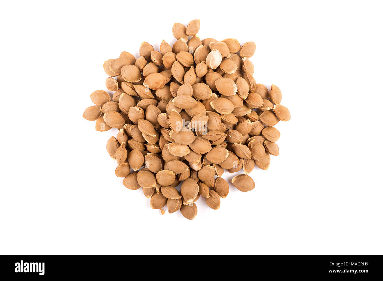 good for health, apricot pits isolated. use in food and cosmetics Stock ...