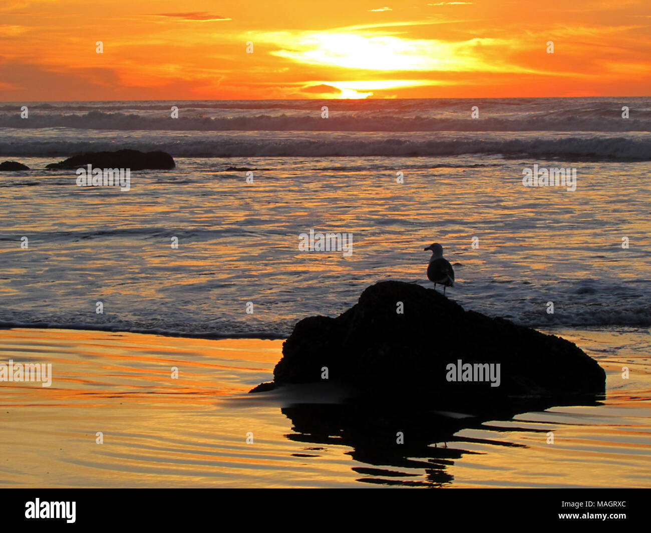 Hug Point at Pacific Coast in OR Stock Photo - Alamy