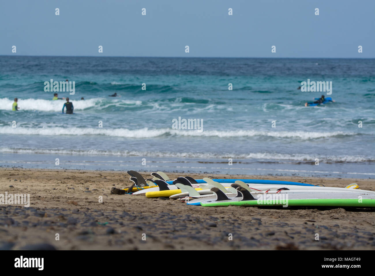 Surf boards on sandy beach, surfschool Famara beach, Lanzarote Stock ...