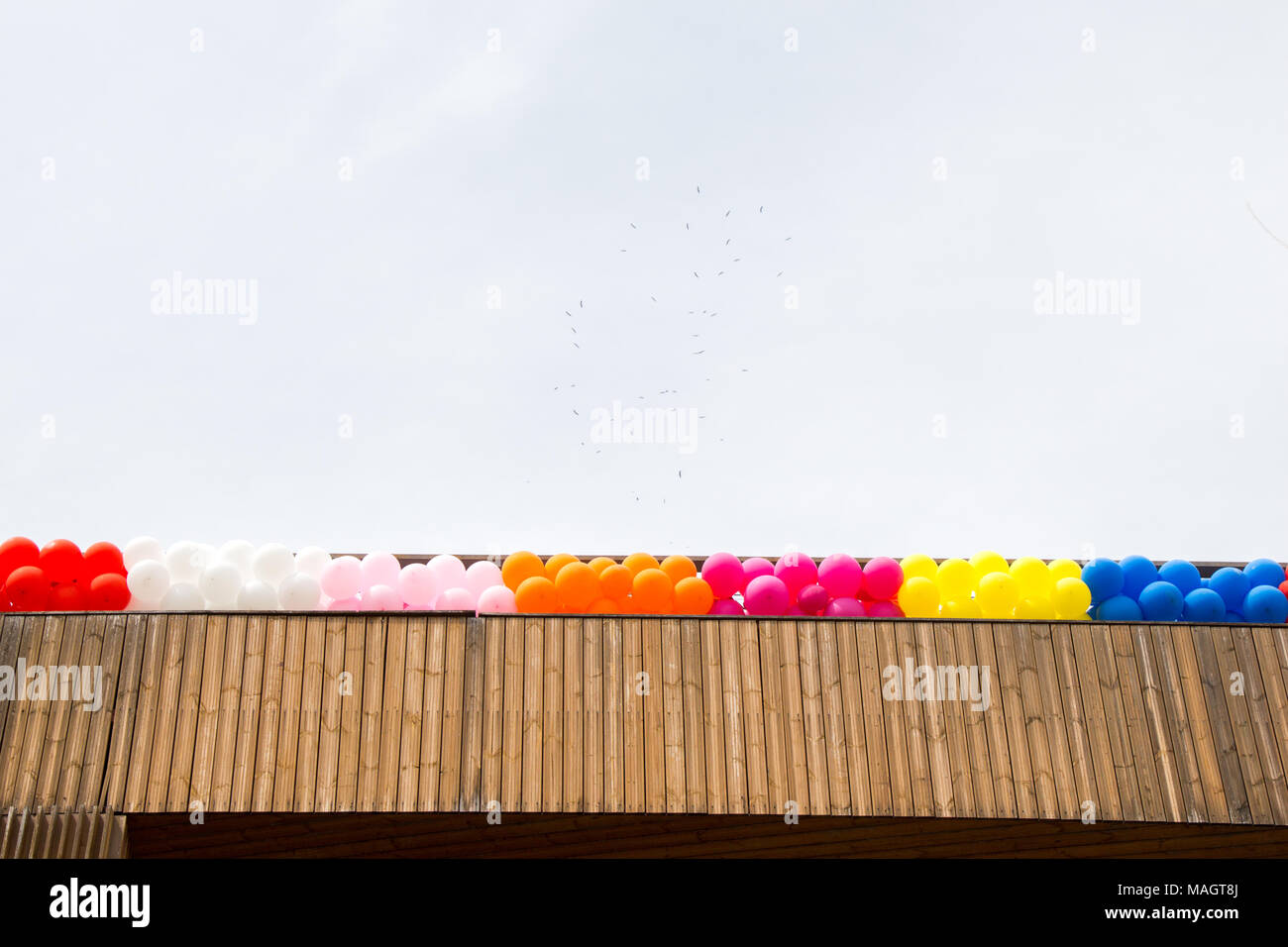 Color balloons on the roof of a building Stock Photo - Alamy