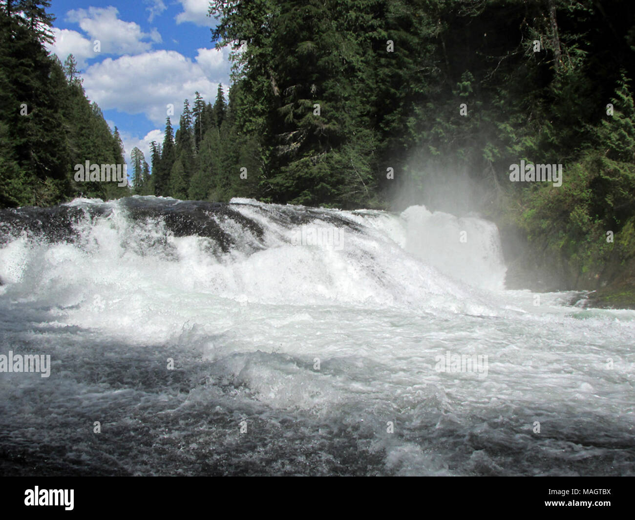 Lower Lewis River Falls Trail in WA Stock Photo - Alamy