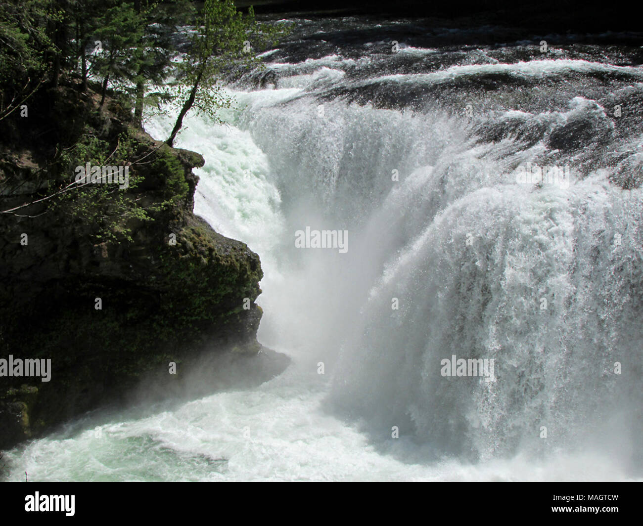 Lower Lewis River Falls Trail in WA Stock Photo - Alamy