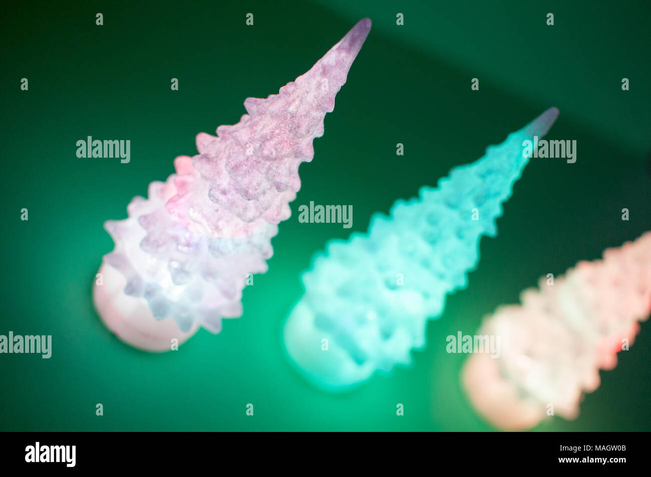 Trees with different colors hi-res stock photography and images - Alamy