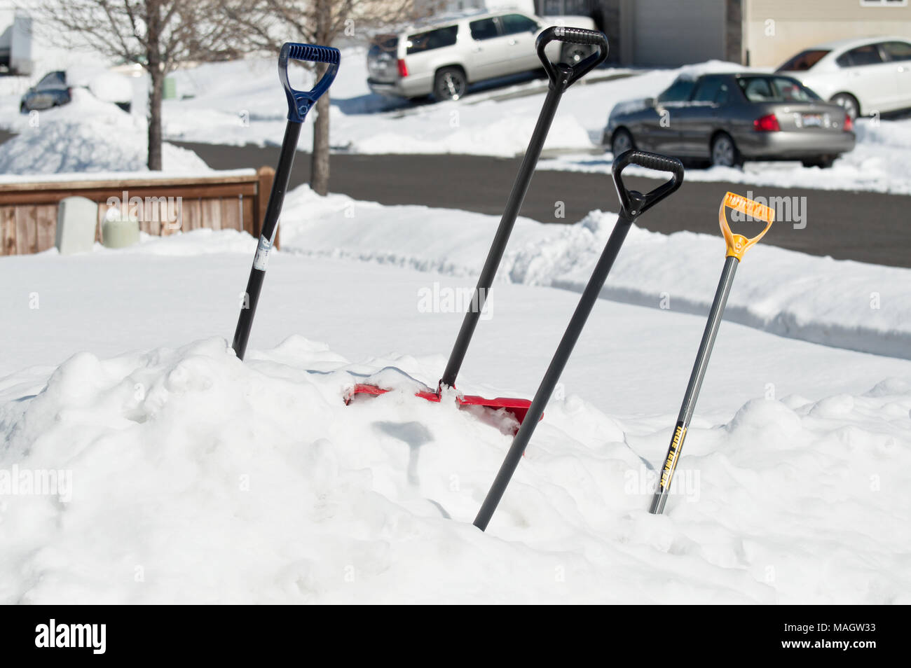 Multi colored shovels stuck in a pile of snow beside the driveway Stock ...