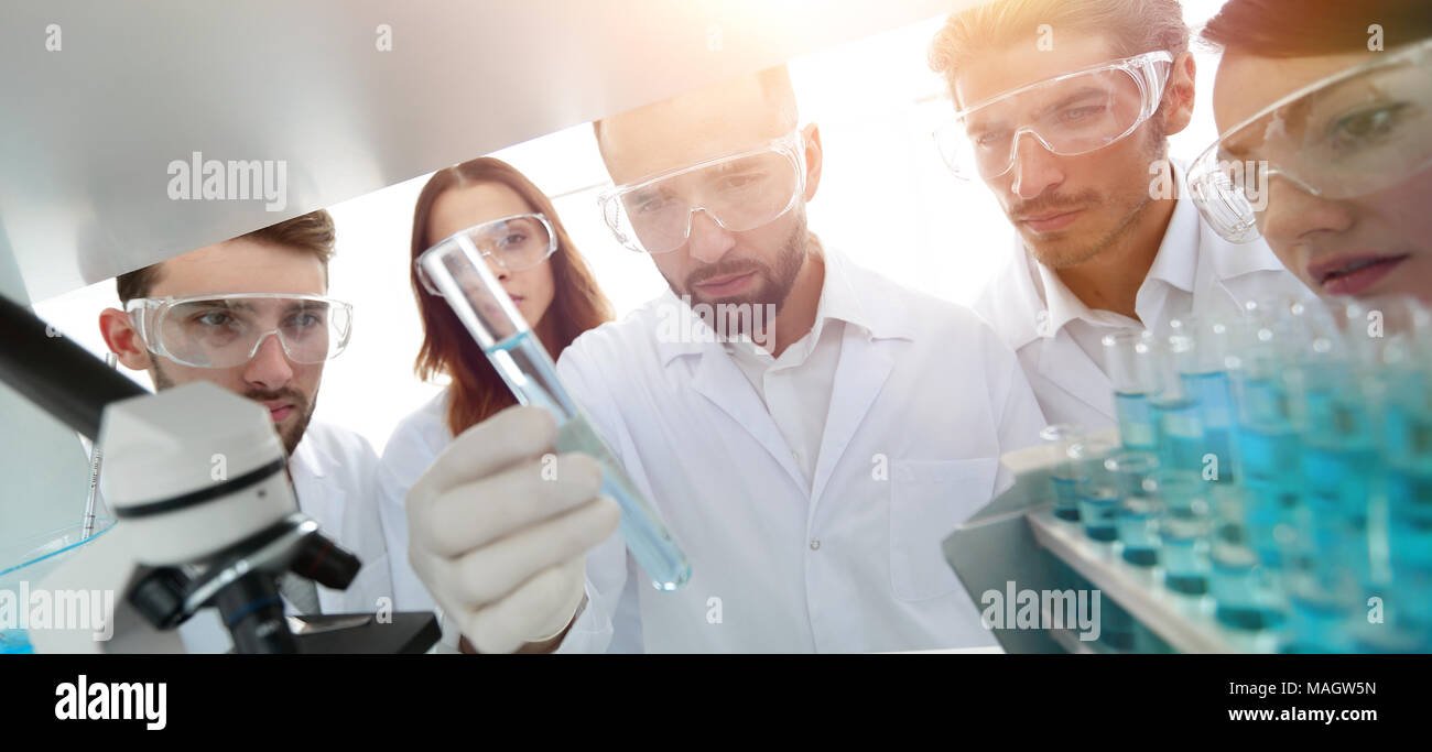group of pharmacists working in the laboratory Stock Photo - Alamy