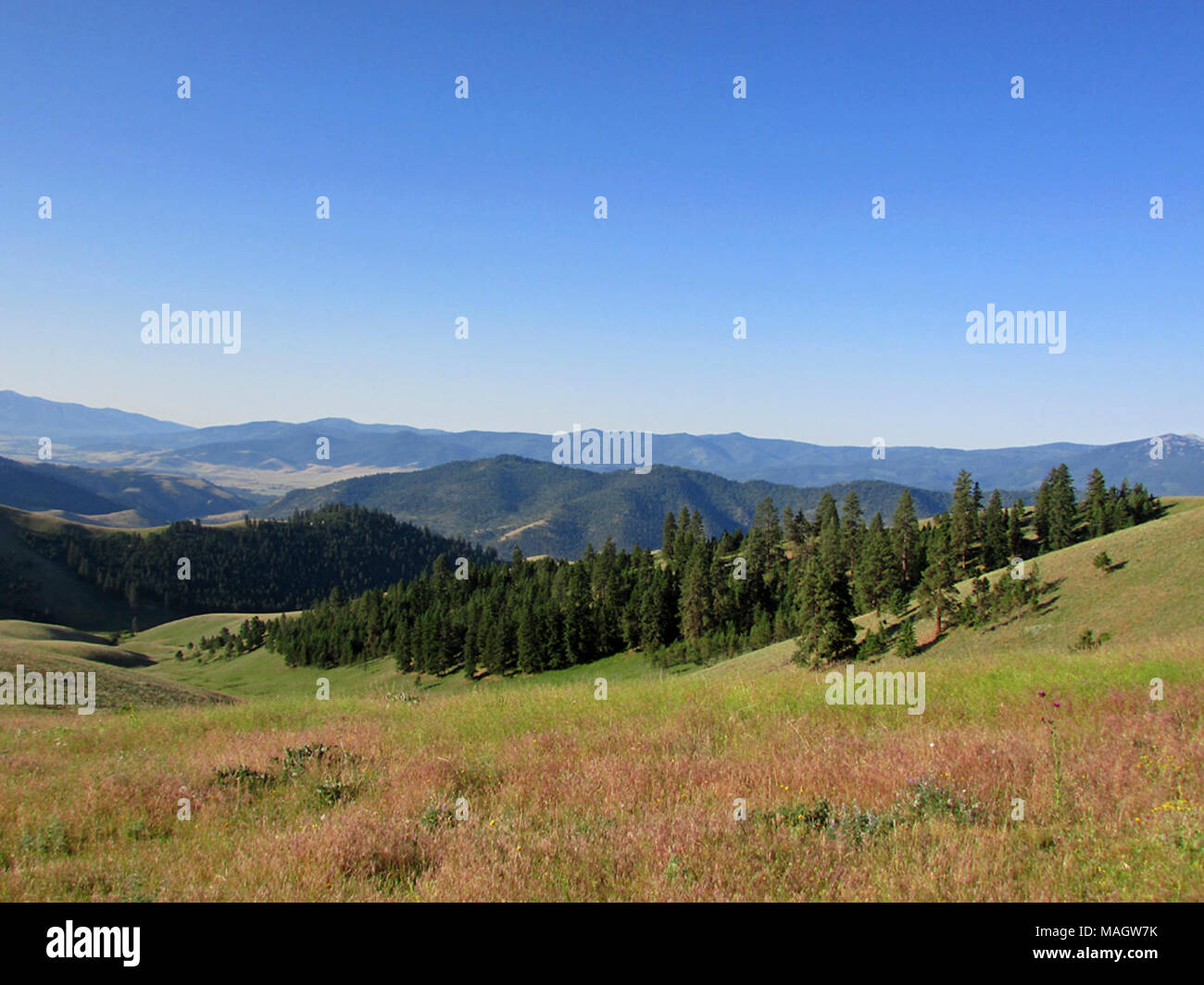 National Bison Range in MT Stock Photo - Alamy
