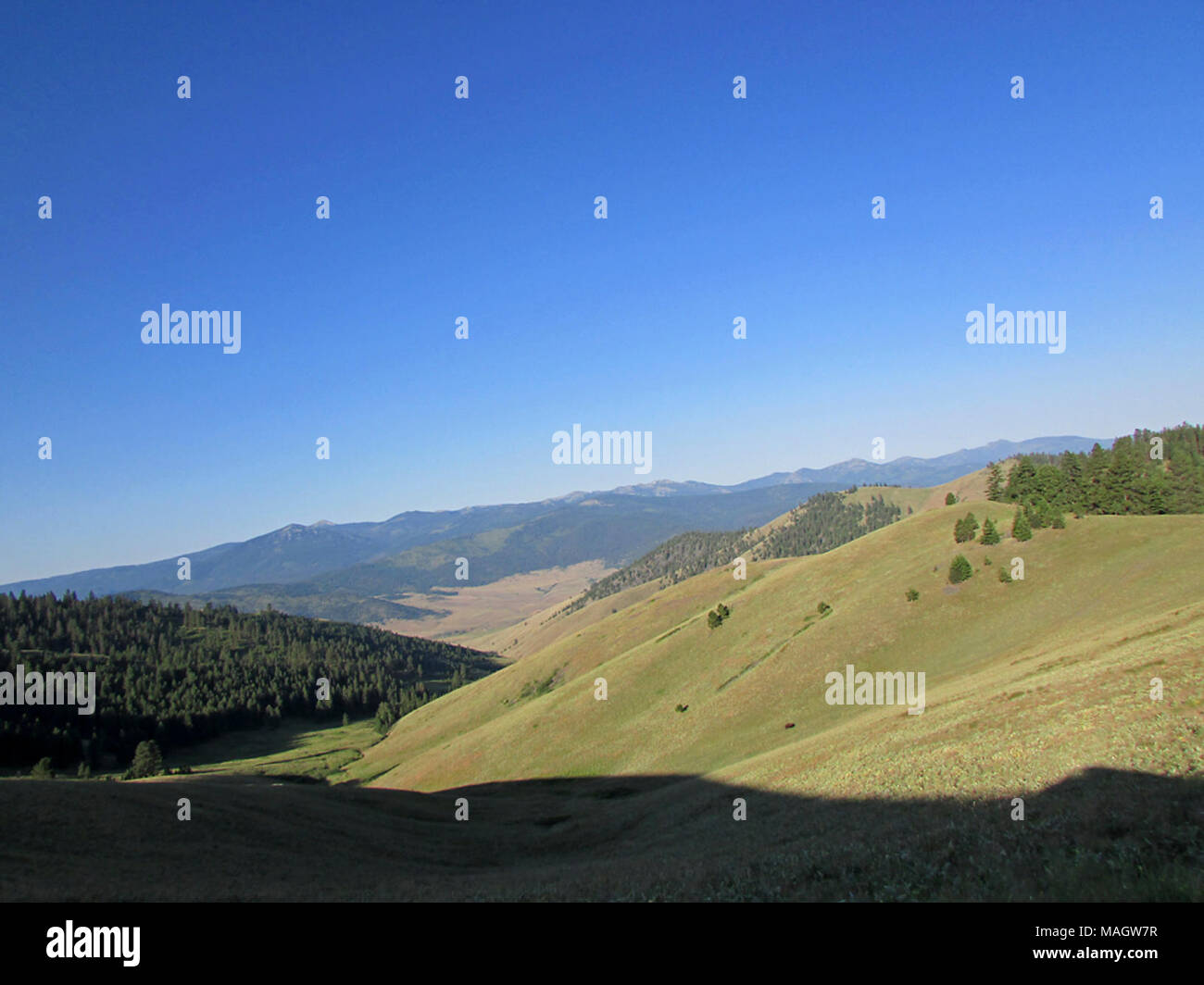 National Bison Range in MT Stock Photo - Alamy