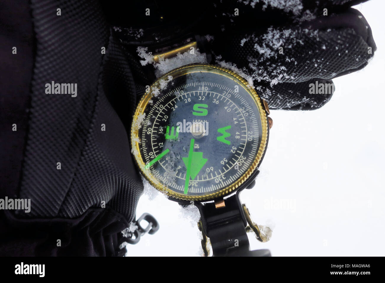 Beautiful compass vector hi-res stock photography and images - Alamy