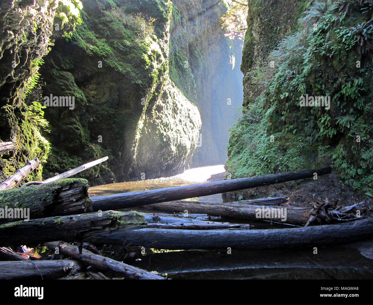 Oneonta Gorge at Columbia River Gorge in OR Stock Photo - Alamy