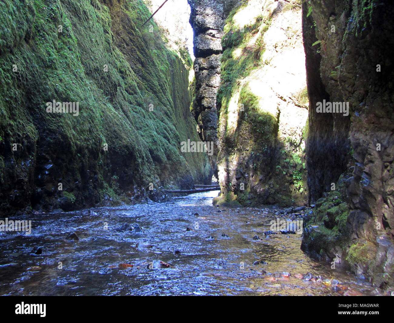 Oneonta Gorge at Columbia River Gorge in OR Stock Photo - Alamy