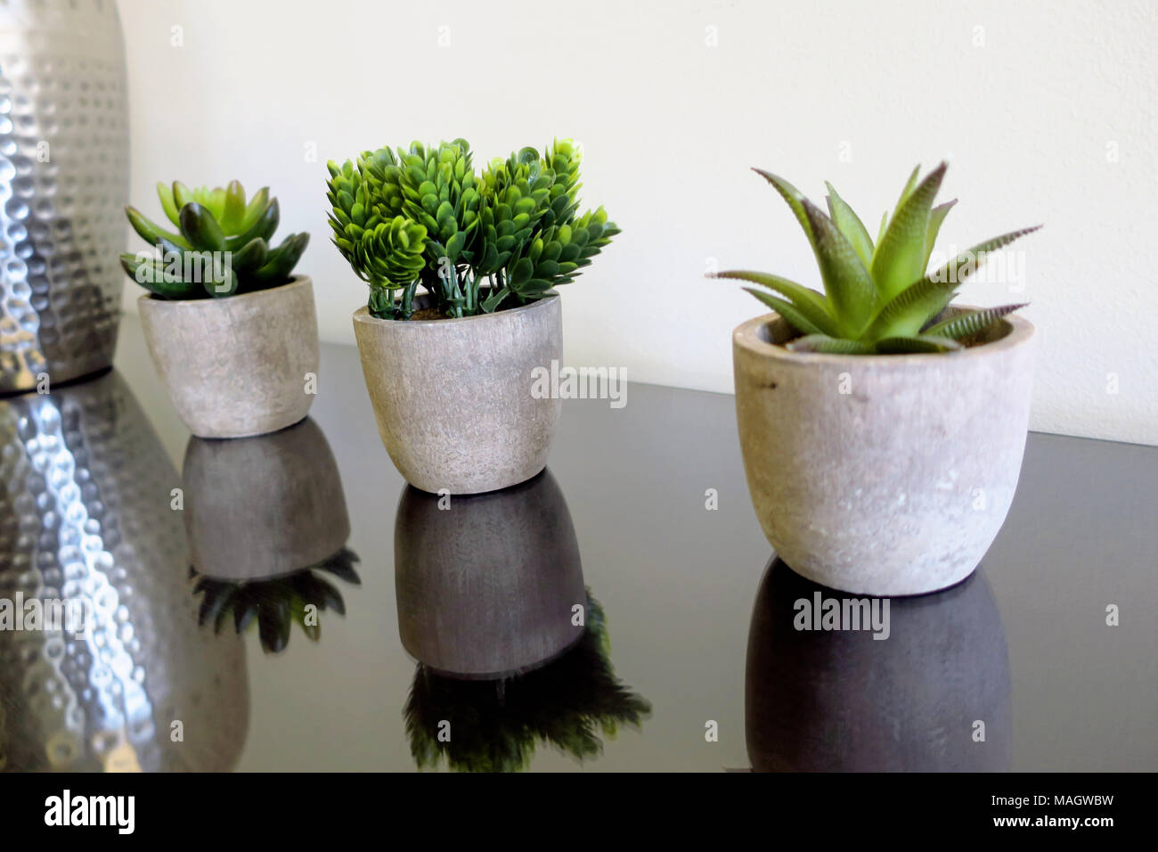Potted indoor plants hi-res stock photography and images - Alamy