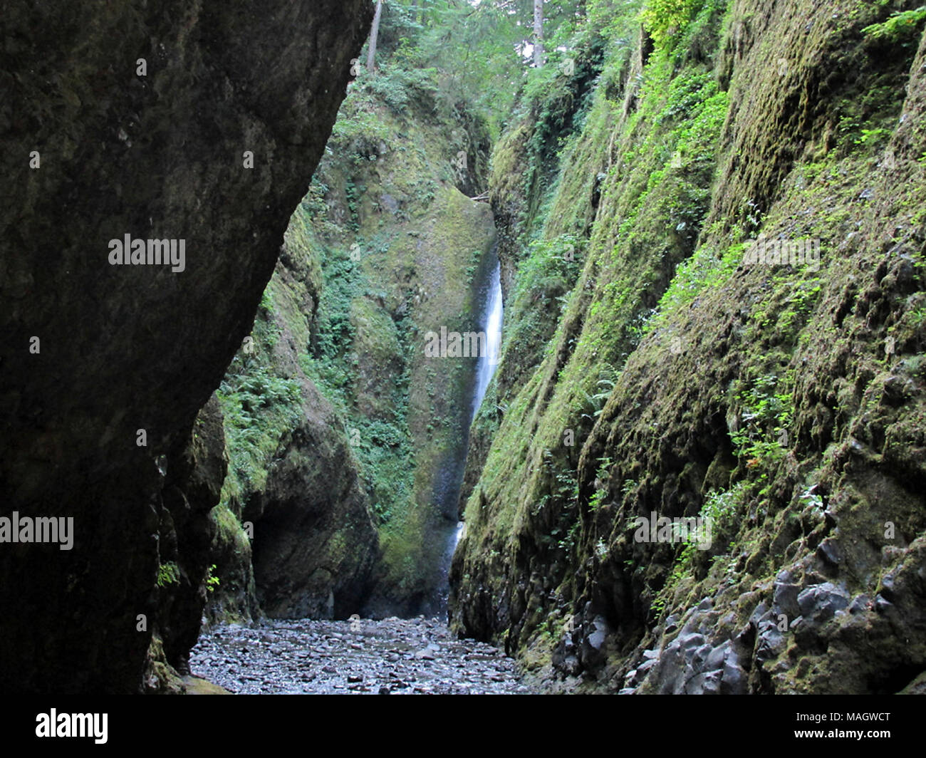 Oneonta Gorge at Columbia River Gorge in OR Stock Photo - Alamy