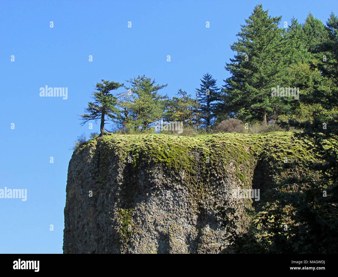 Oneonta gorge columbia river gorge hi-res stock photography and images ...