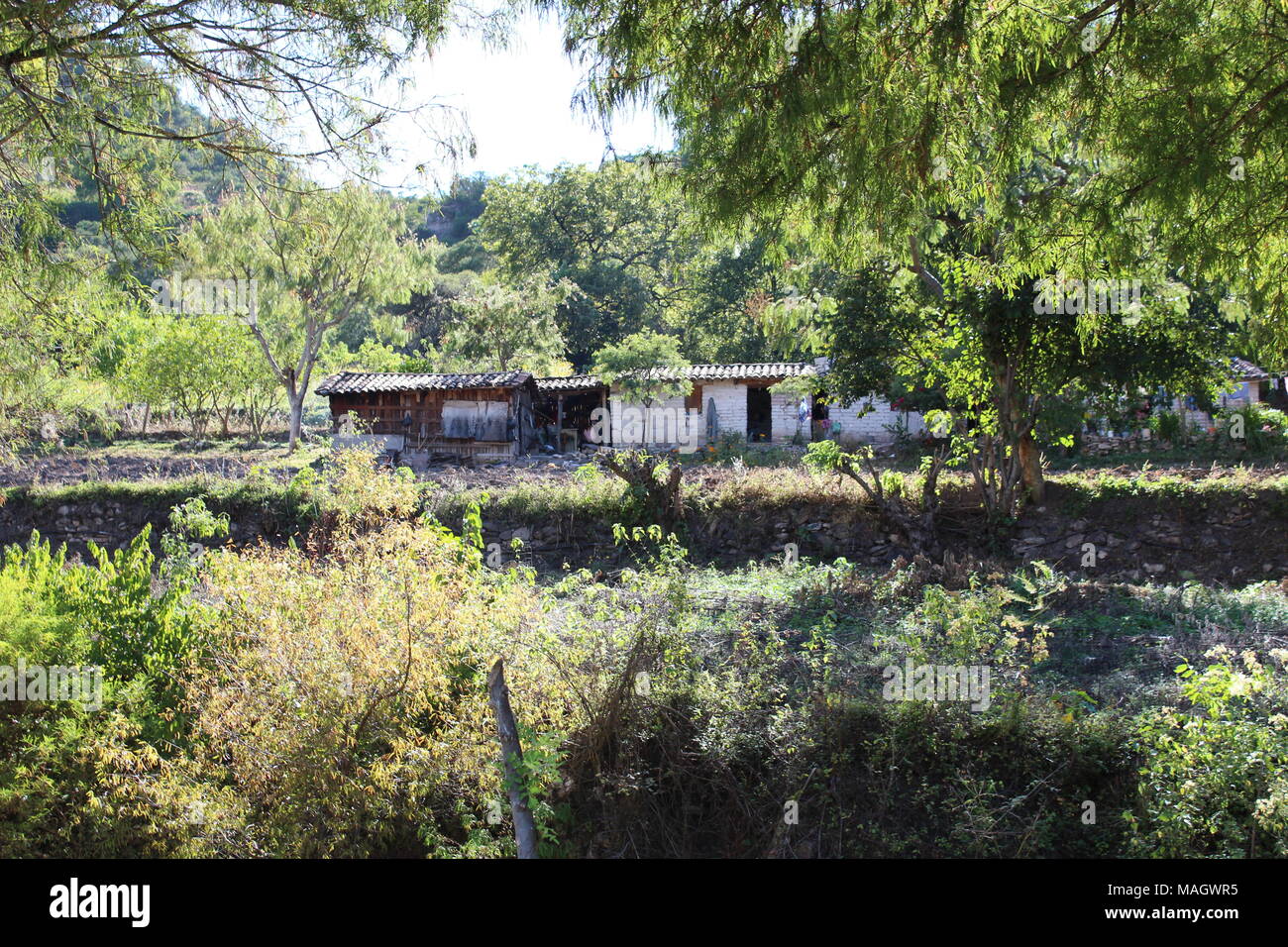 la mixteca oaxaquena Stock Photo - Alamy