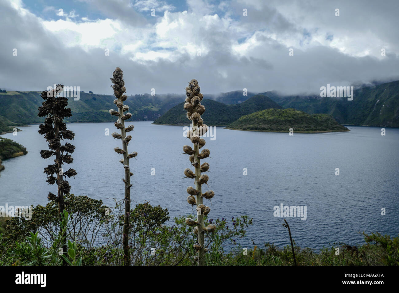 Cuicocha hi-res stock photography and images - Alamy