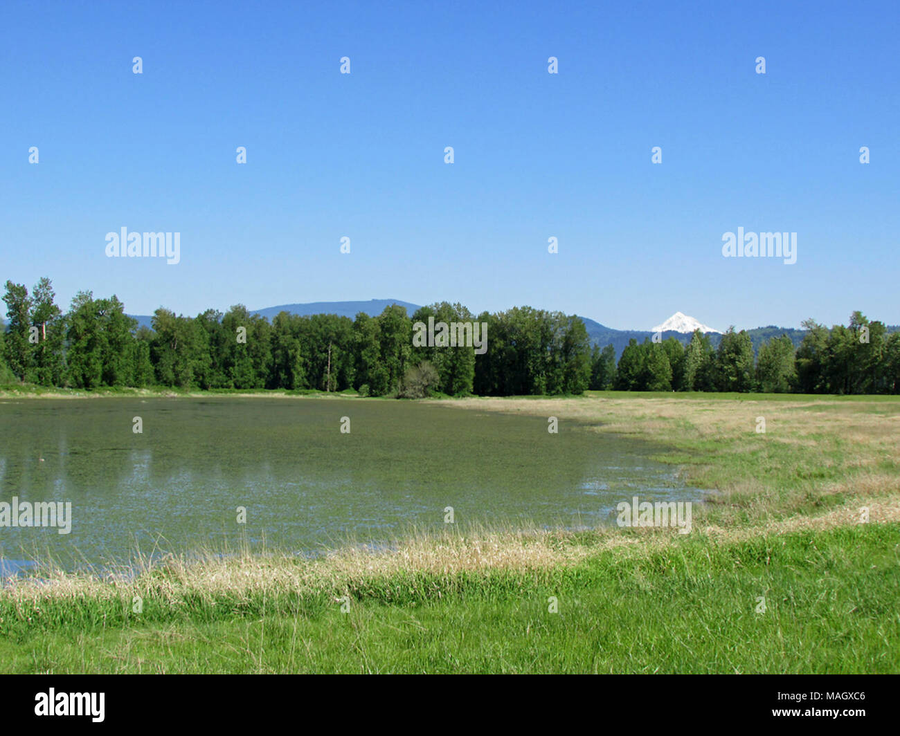 Steigerwald national wildlife refuge hi-res stock photography and ...
