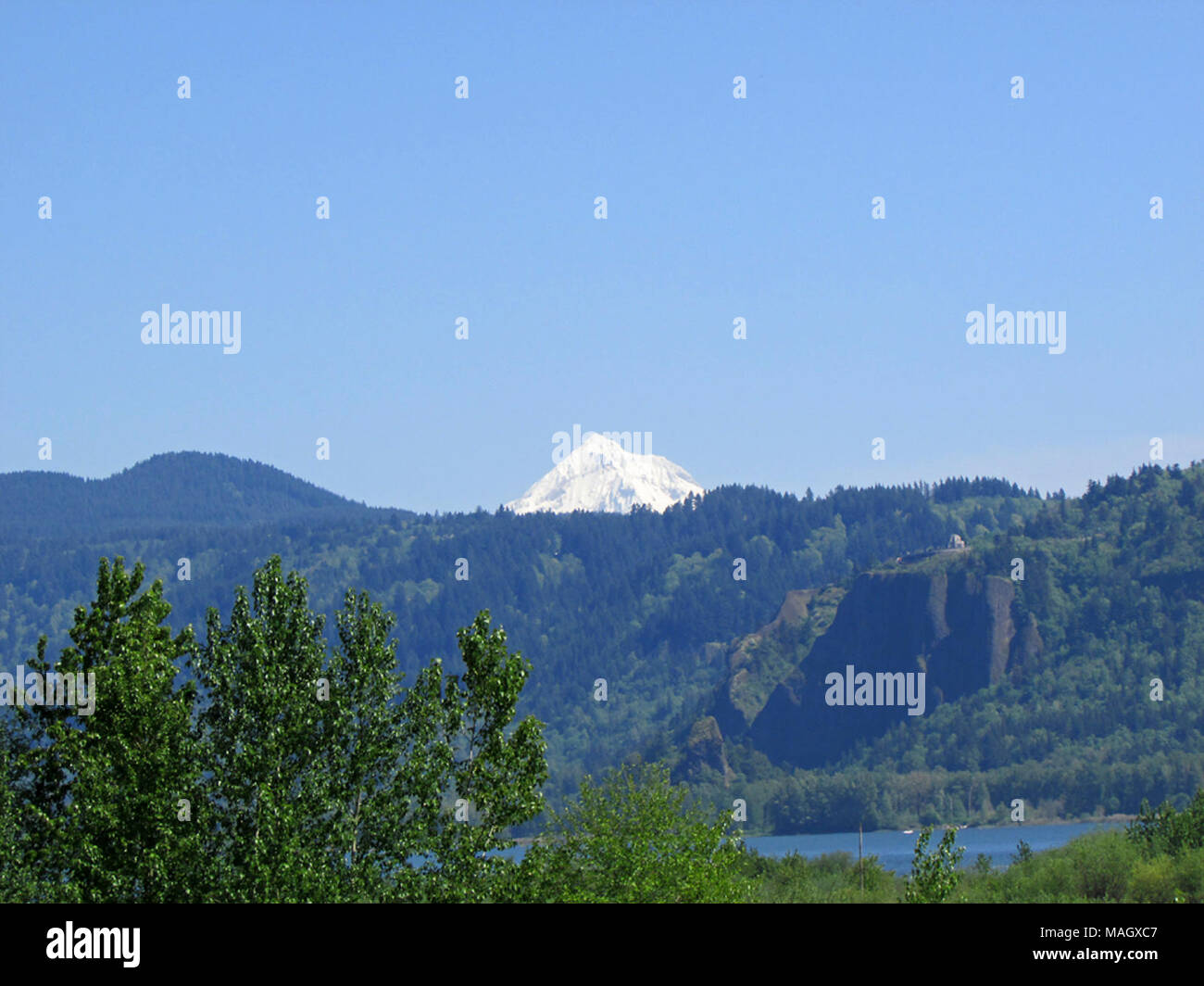 Steigerwald Lake NWR in WA Stock Photo - Alamy